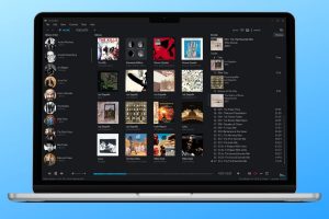 8 Best Music Players for Windows 11 [2025 Updated] - GeeksDigit.Com