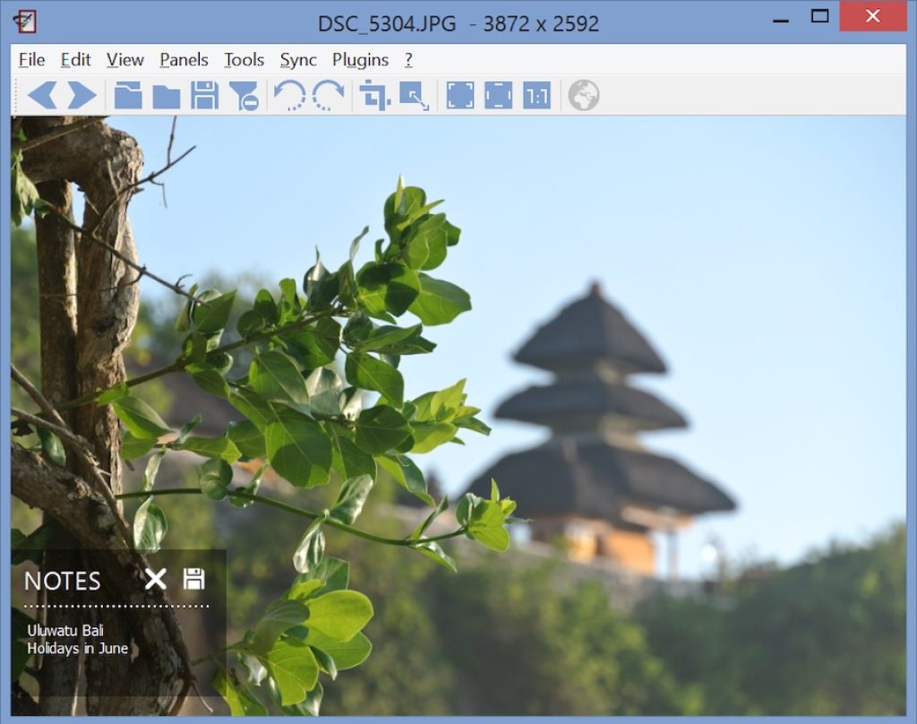 10 Best Photo Organizers for Windows 11 - GeeksDigit.Com