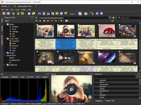 10 Best Photo Organizers for Windows 11 - GeeksDigit.Com