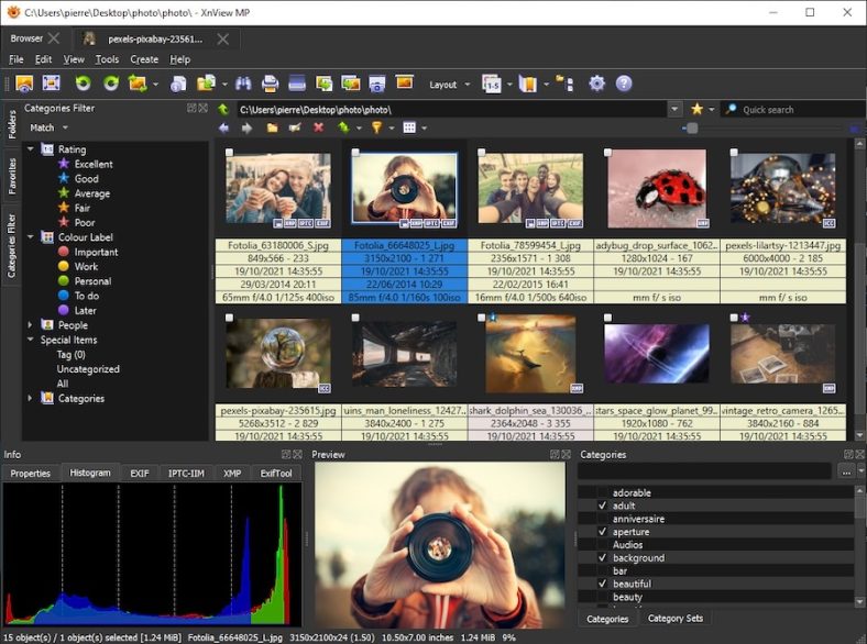 10 Best Photo Organizers for Windows 11 - GeeksDigit.Com